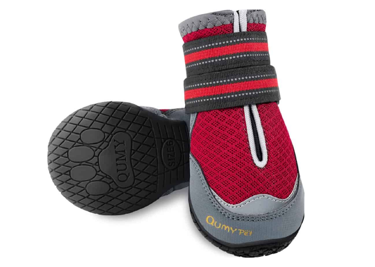 Protect Your Pup's Paws: Top-Rated Dog Boots for Hiking