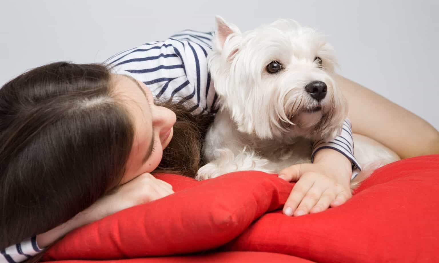 Dog Body Language: Decoding Cues and Vocalizations