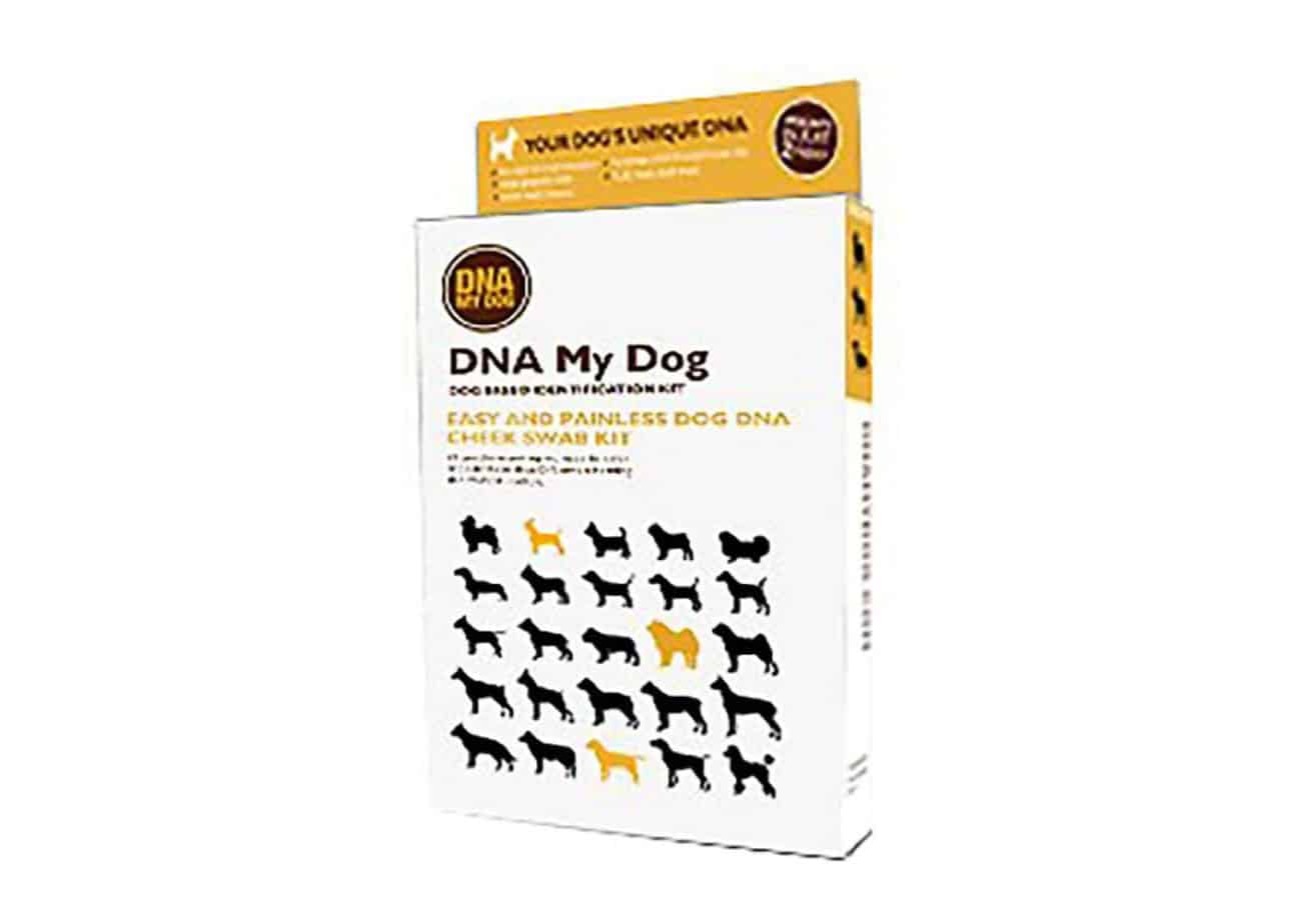 Top Dog DNA Test Kits for a Healthier, Happier Pup 2023