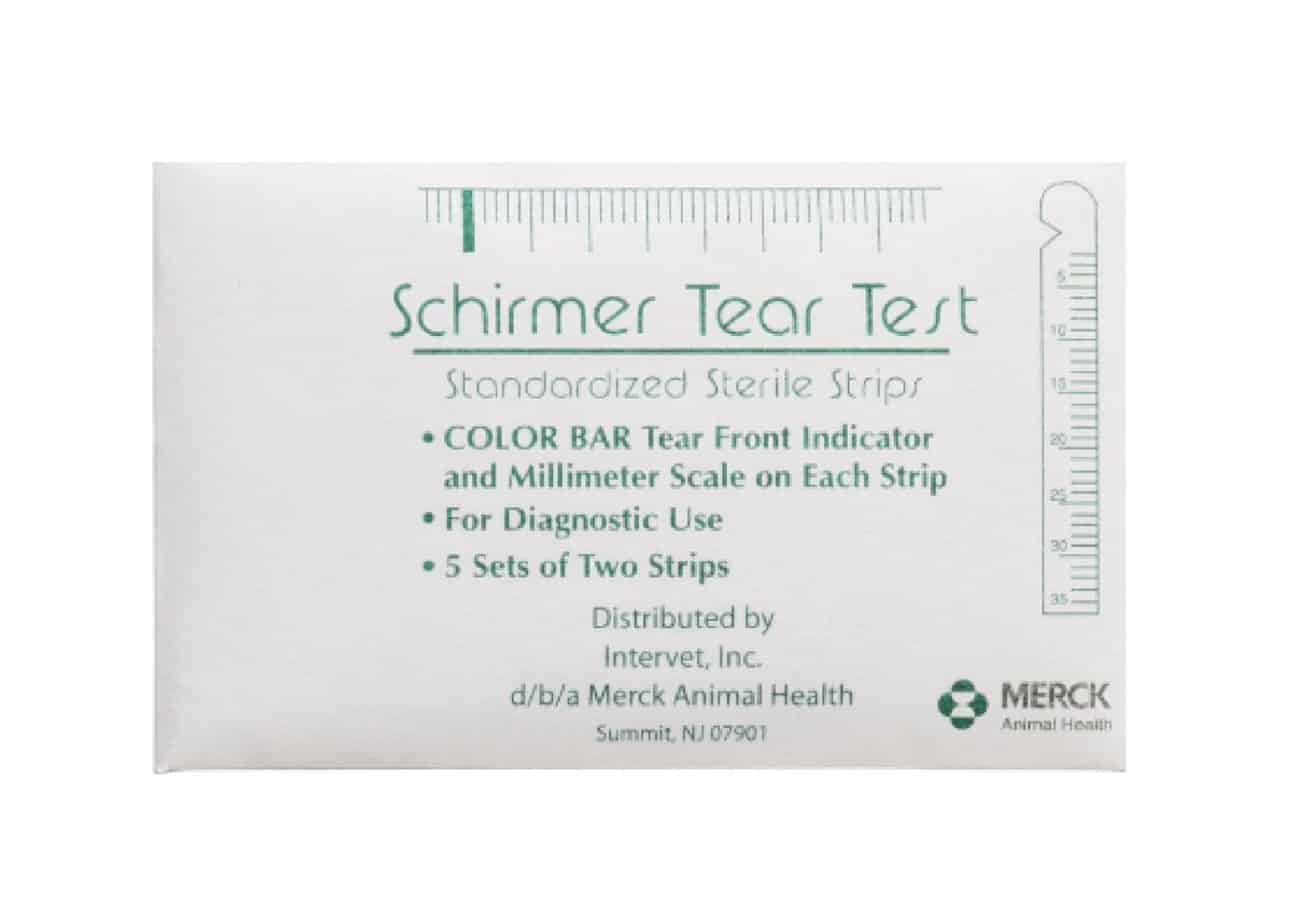 Schirmer Tear Test Dogs: Vet Tells Everything You Need to Know