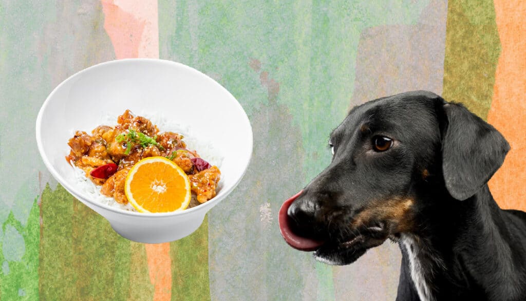 Can Dogs Eat Orange Chicken? Find Out Here!